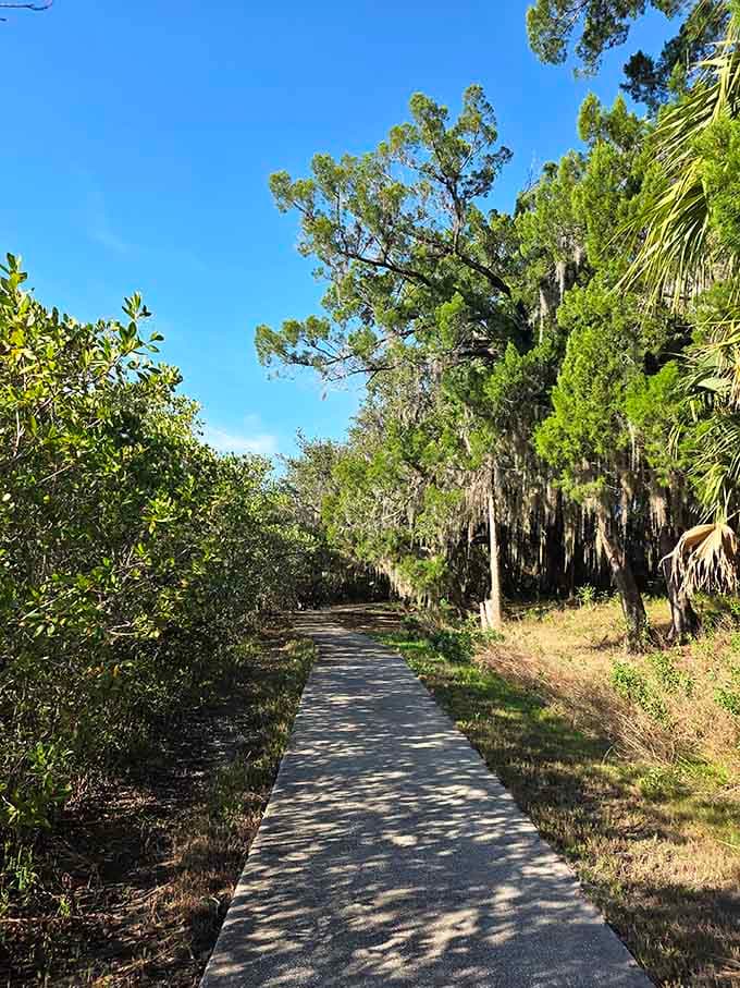 This winding walkway invites you deeper into a landscape where Spanish moss and live oaks create natural architecture that puts most buildings to shame.