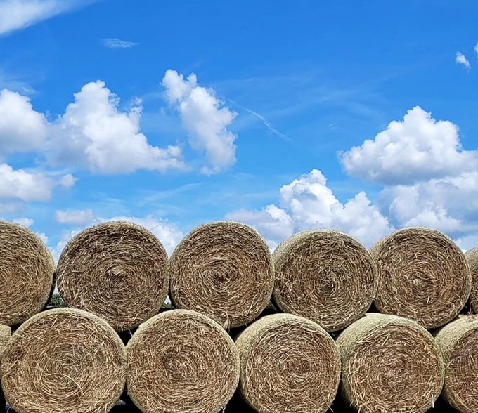 Hay bales stacked like nature's building blocks against a perfect blue sky&mdash;farming's version of modern art.