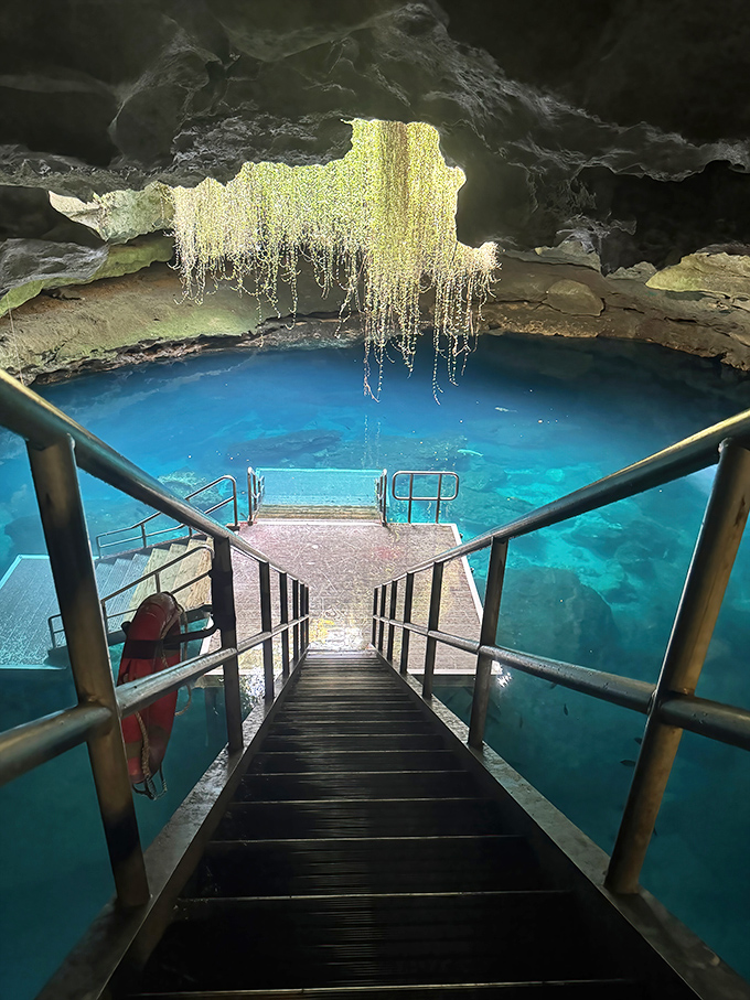 These stairs aren't just a pathway &ndash; they're a portal between worlds, leading from ordinary Florida into an extraordinary underground realm.