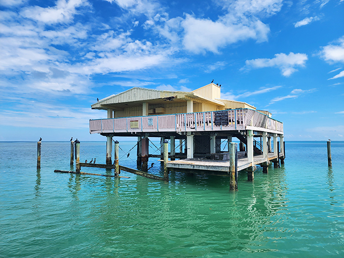 With its wraparound porch and pastel hues, this stilt house could be any suburban home &ndash; if suburbs were built in the middle of oceans.