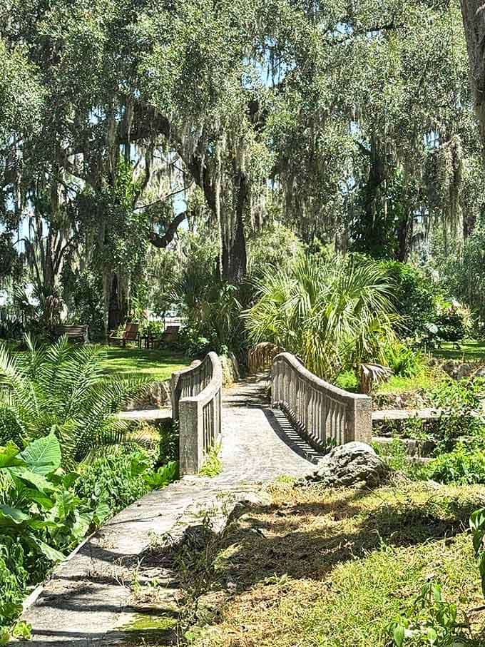 Stone bridges curve gracefully over garden features, their weathered surfaces telling stories of countless footsteps across nearly a century of Florida history.