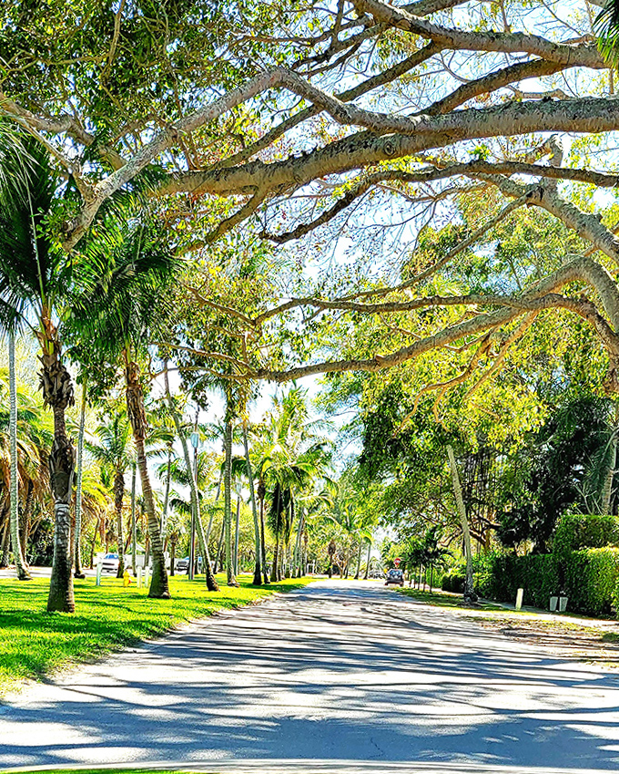 Palm-lined avenues dappled with Florida sunshine &ndash; Boca Grande's streets invite unhurried exploration at the civilized pace of island time.
