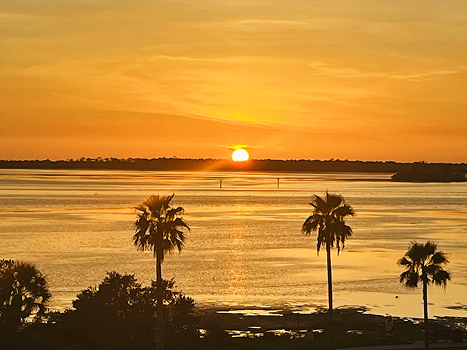 A sunset that makes you understand why people move to Florida and never leave&mdash;liquid gold pouring over the Gulf.