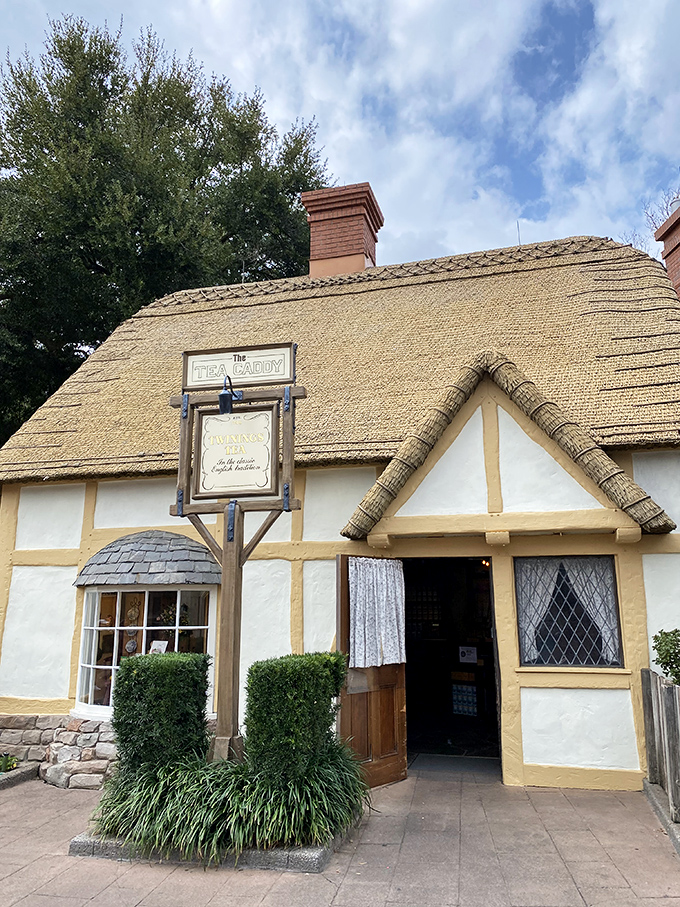 The Tea Caddy shop offers more varieties of tea than there are episodes of Doctor Who. Step inside for a proper British cuppa and biscuits!