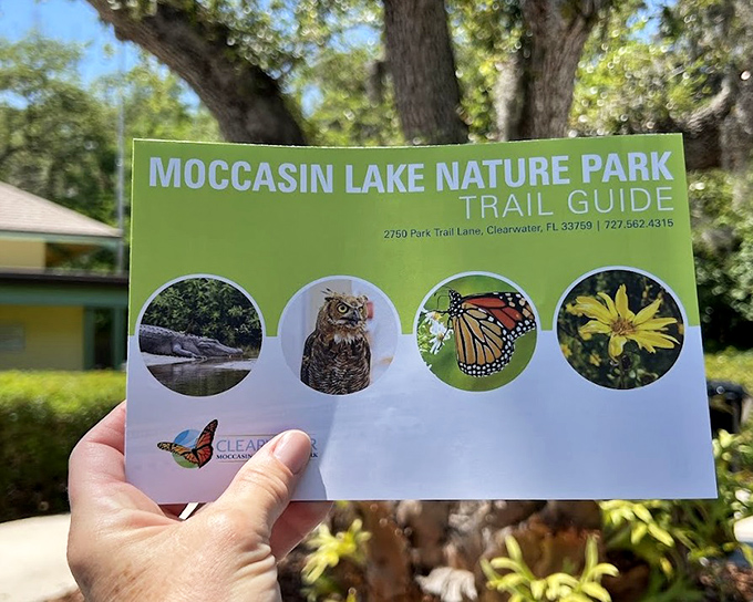 The park's trail guide reveals the hidden treasures awaiting discovery, from owl habitats to butterfly gardens.
