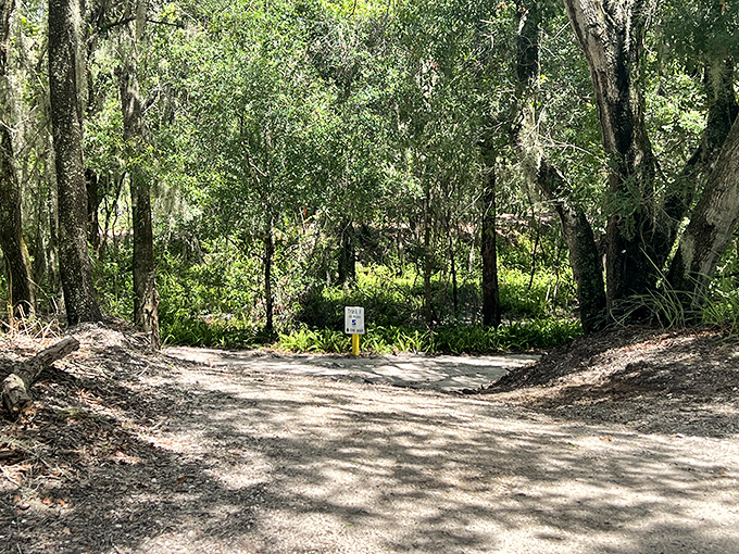 Nature's signpost marks the trail with subtle guidance &ndash; these paths have witnessed countless adventures and keep their. The gathering spot where strangers become friends, sharing trail tips and tall tales between rides under the protective canopy.