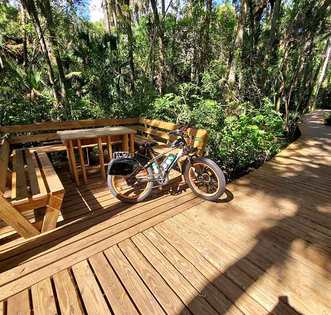 Strategic benches along the boardwalk let you rest while pretending you're just pausing to observe wildlife and not because your legs are tired.