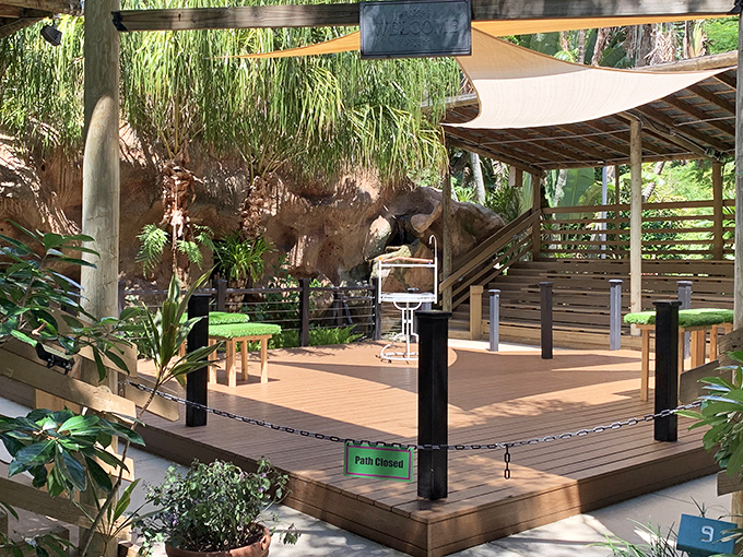 This wooden deck isn't merely a viewing platform &ndash; it's nature's theater, offering front-row seats to the garden's ongoing botanical performance.