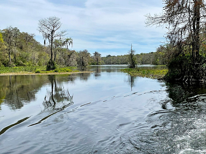 The river's surface ripples with mysteries &ndash; beneath these gentle waves lies one of the world's deepest freshwater cave systems.