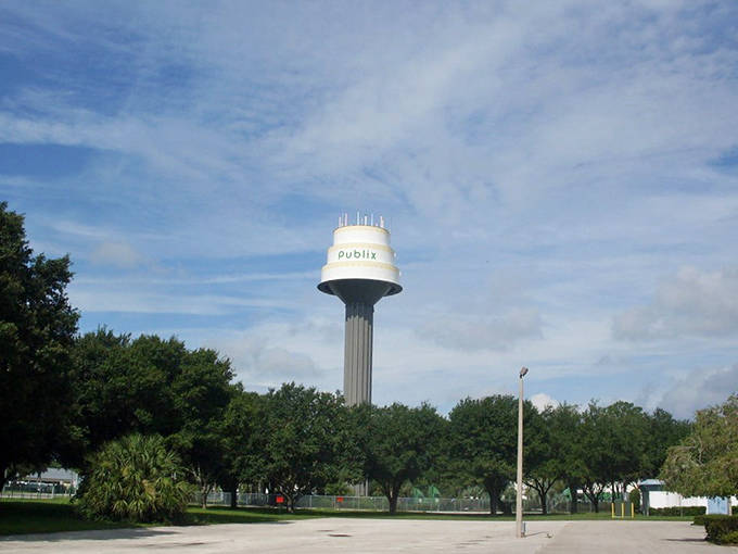 The wide-angle view captures the tower's commanding presence &ndash; part water utility, part celebration cake, all Florida roadside magic.