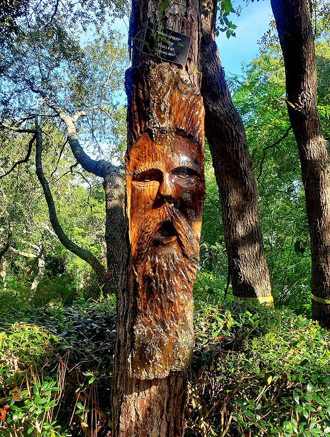 A wood spirit carved into a living tree watches over garden visitors, the botanical version of "I've got my eye on you."