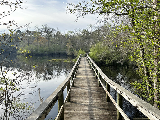 This wooden boardwalk invites contemplative strolls over still waters, where nature's reflection offers twice the beauty for observant wanderers.