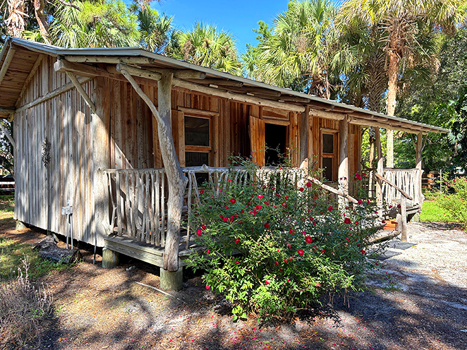 The pioneer cabin stands as a reminder of Florida's past, surrounded by the natural beauty that settlers would have encountered.