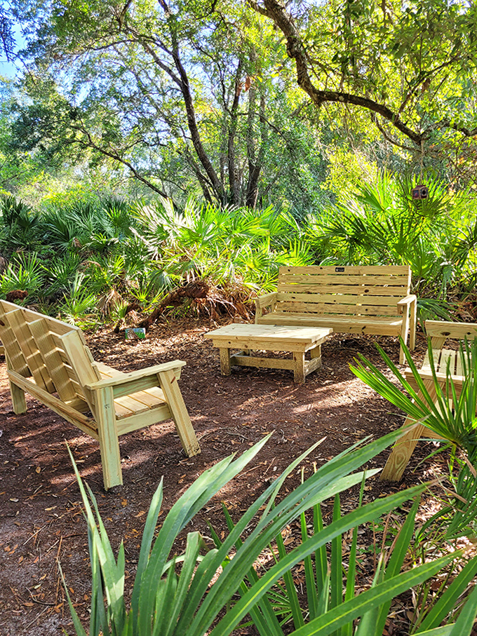 These wooden chairs aren't just seating&mdash;they're front-row tickets to nature's greatest show, performed daily among the palmettos.