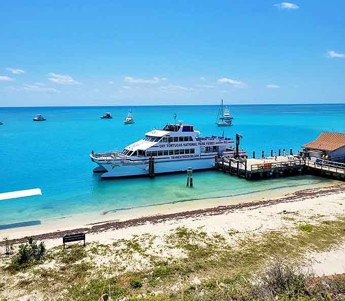 The Yankee Freedom ferry delivers day-trippers to this remote paradise, the only commercial transportation option besides seaplanes for adventurous visitors.