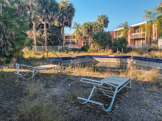 Lounge chairs rest in permanent relaxation mode around a pool that now grows things you definitely wouldn't want to swim with.
