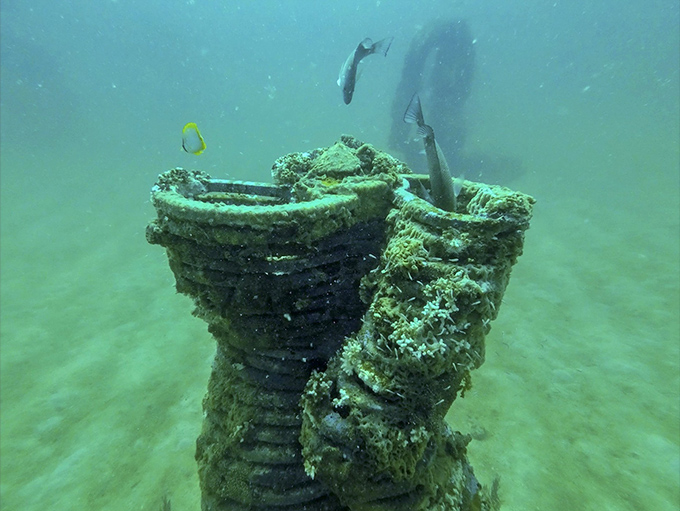 What begins as concrete art evolves into living habitat &ndash; nature's collaboration transforms human creation into thriving ecosystem.