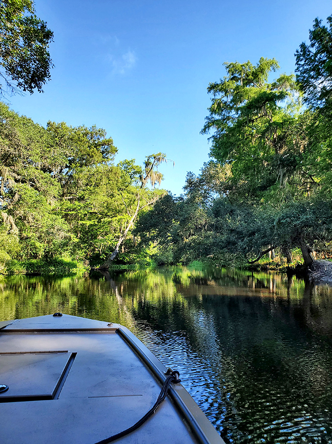 Gliding through cypress-lined waterways, boaters discover hidden corners of East Lake Toho where time seems to stand perfectly still.