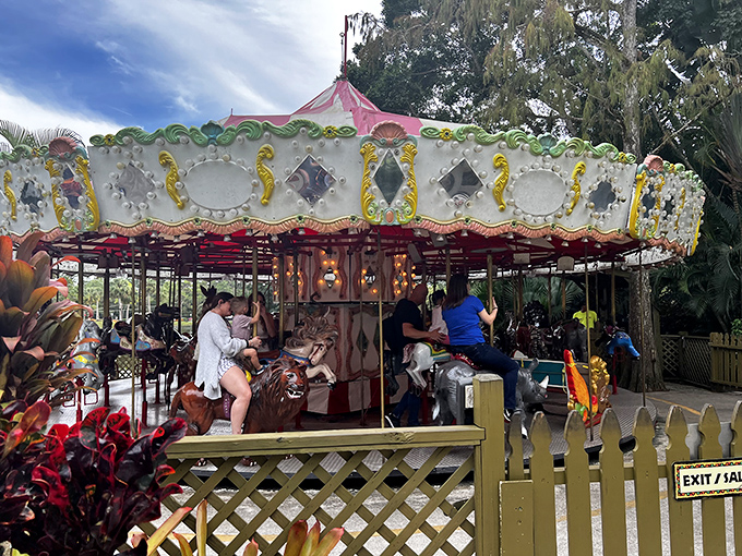 The carousel offers a gentle, nostalgic ride where multiple generations bond over painted horses and simple joys &ndash; timeless family magic.