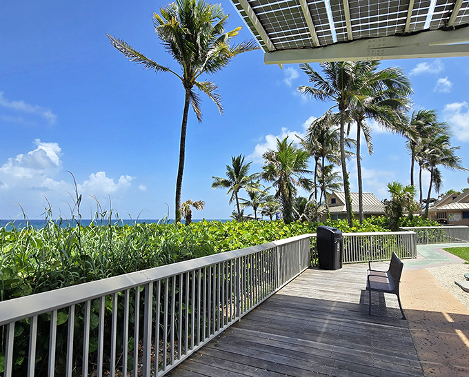 A peaceful perch where the rhythm of waves provides the soundtrack for contemplation, conversation, or simply doing nothing at all.