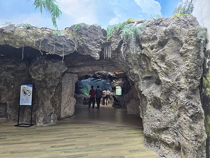 This rocky entrance promises adventure beyond &ndash; like stepping through a portal to another world where gills are the fashion accessory of choice.