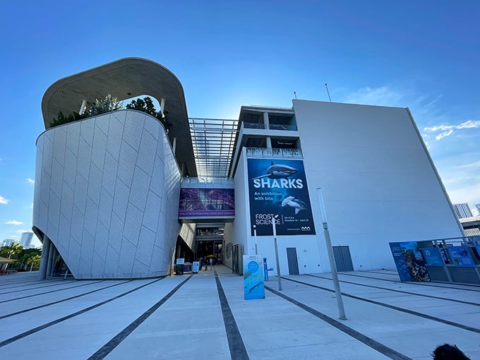 The museum's dramatic entrance promises adventure, with the shark exhibition banner hinting at the aquatic wonders waiting inside.