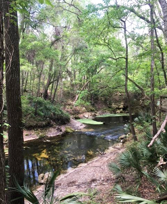 The surrounding forest creates a peaceful sanctuary where sunlight filters through leaves to dance on crystal waters below.