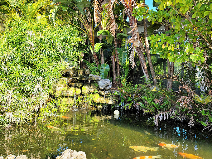Colorful fish glide through crystal waters, adding another layer of tranquility to this already peaceful retreat.