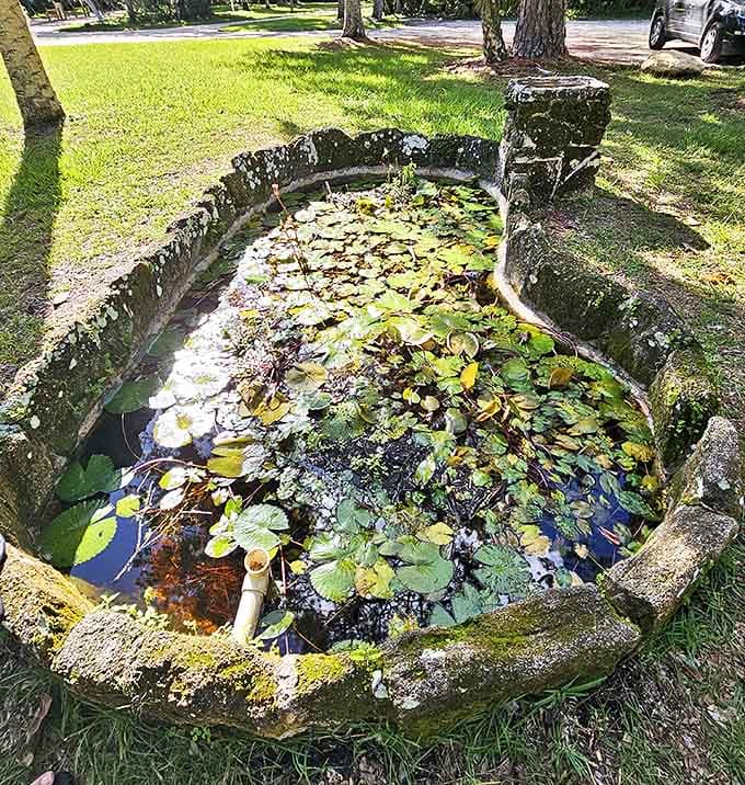 This lily-padded pond, once vital to plantation operations, now serves as nature's reflecting pool for contemplative visitors.