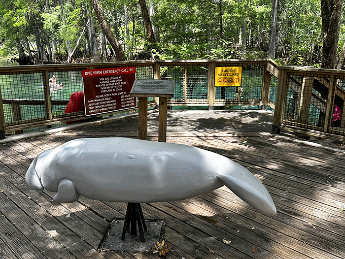 A manatee sculpture reminds visitors who the real VIPs are&mdash;gentle giants who've been vacationing here long before humans arrived.