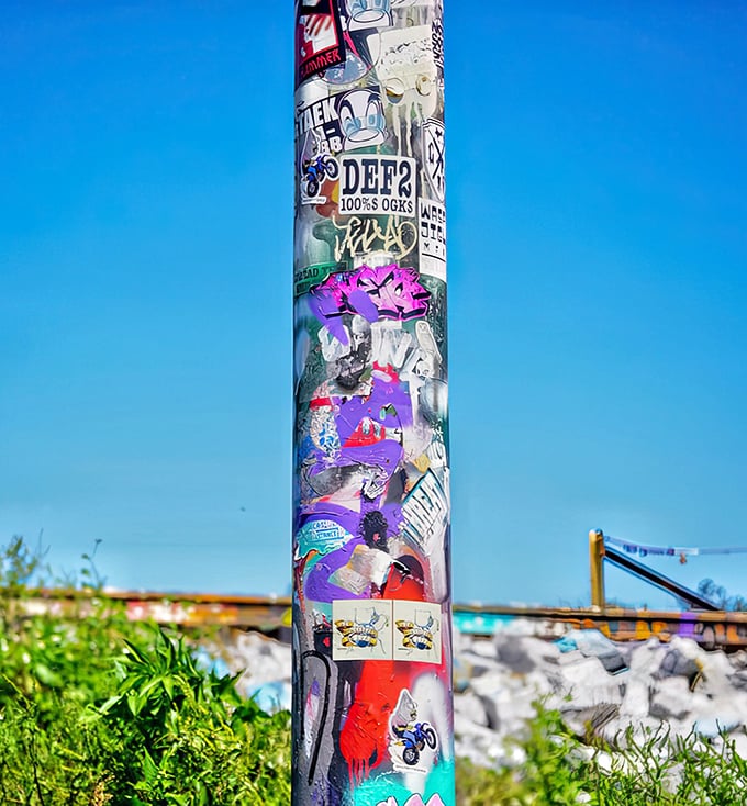 Even utility poles get the treatment here, transformed from mundane infrastructure into vertical galleries of community expression.