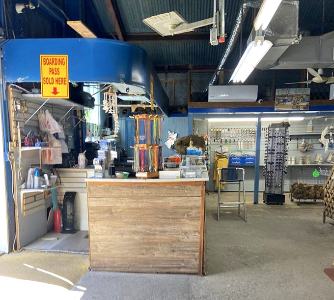 A rainbow of handcrafted soaps stands ready to partner with your new natural sponge for the ultimate shower experience.