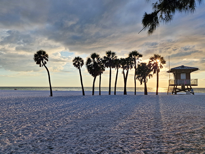 Palm trees stand like sentinels against a pastel sky, the beach's unofficial welcoming committee that never takes a day off.