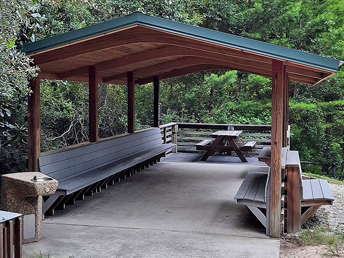 Rain or shine, this rustic shelter transforms ordinary picnics into memorable outdoor feasts with panoramic views.