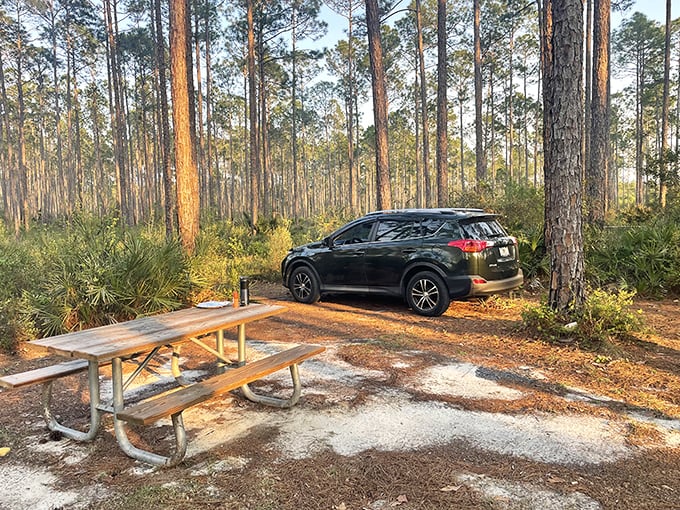 Your office for the day awaits &ndash; a rustic picnic table nestled among towering pines offers lunch with a view.