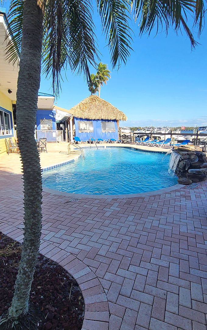 The poolside paradise at Caribbean Jack's offers the ultimate Florida trifecta: swimming, sunning, and spectacular waterfront dining all in one place.