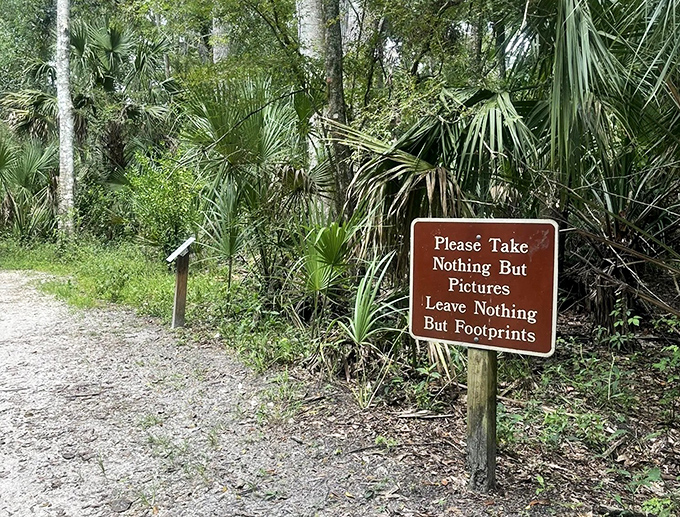 The forest's golden rule: this humble sign reminds visitors that memories and footprints are the only souvenirs worth taking from this pristine paradise.