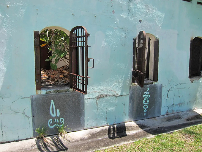 Rusted windows tell stories of decades past, their weathered frames creating portals between Crandon Park's present landscape and its zoological history.