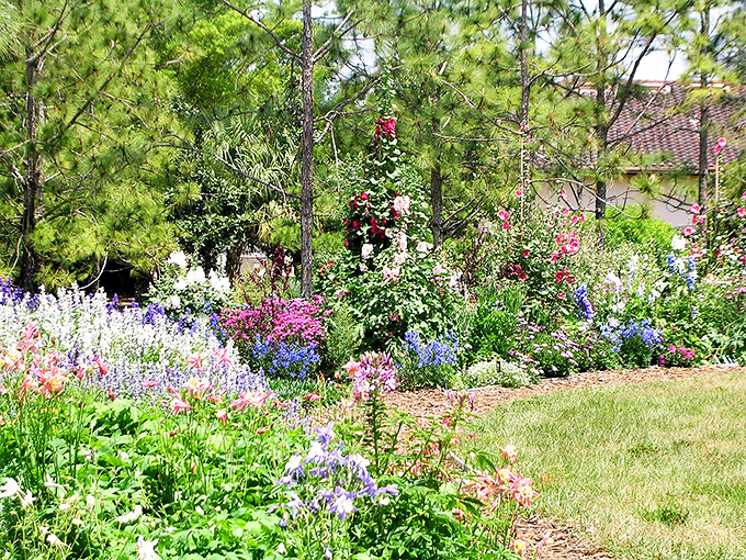 A colorful explosion of flowers creates a tapestry so vibrant it makes your high-definition TV look like it needs an upgrade.
