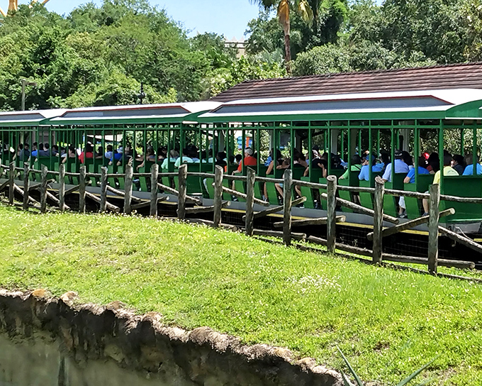 Passengers board the train with that unmistakable mix of excitement and wonder that theme parks specialize in manufacturing.