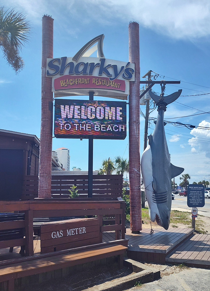 Sharky's iconic sign welcomes hungry beachgoers, with a life-sized shark sculpture that's become a favorite photo spot for visitors to Panama City Beach.