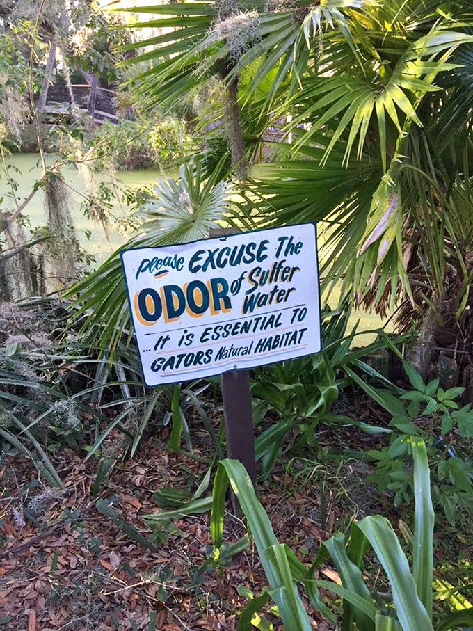This helpful sign warns visitors about the distinctive swamp aroma &ndash; nature's way of saying "you're not in the mall anymore."