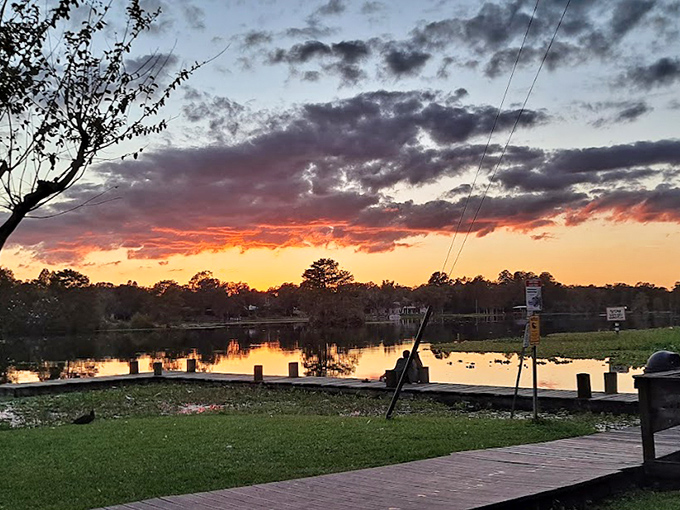 Sunset paints the Hillsborough River in liquid gold, turning an already beautiful scene into something that belongs in an art gallery.