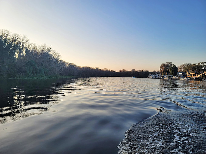Sunset serenity: The St. Johns River glows with golden hour light, proving nature doesn't need filters to look spectacular.