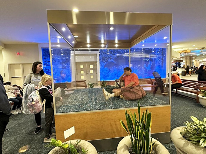 "The Traveler" has fooled countless passengers who've offered him water, wake-up calls, and occasionally, relationship advice.