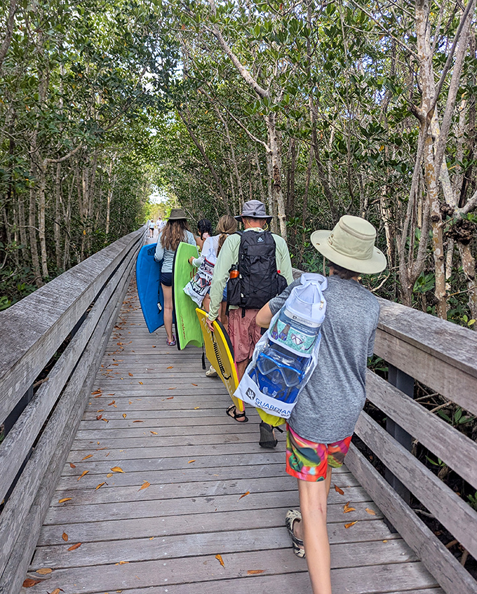 The boardwalk trail welcomes explorers of all ages, winding through coastal vegetation while keeping your feet blissfully free from sand and scratches.