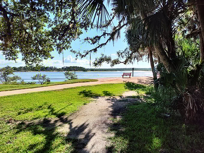 A slice of tranquility where the grass meets the water, offering a front-row seat to nature's most peaceful show under Florida's impossibly blue sky.