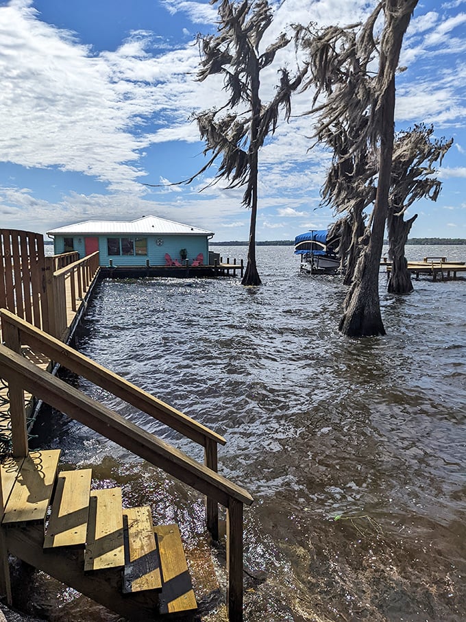 Waterfront living, Florida style: where your front yard is liquid and your neighbors might include herons, turtles, and the occasional curious bass.