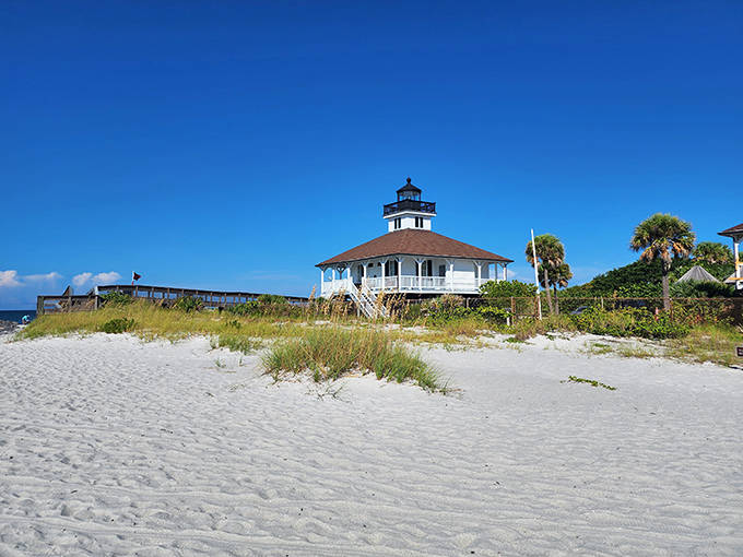 The historic lighthouse watches over a pristine shoreline where every shell and shark tooth tells a story millions of years in the making.