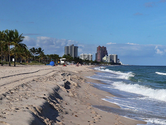 A gorgeous view where the beach meets the city! That skyline is the perfect backdrop for a relaxing day of sun, surf, and people-watching.